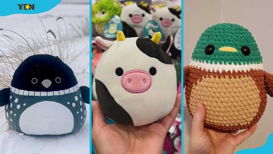 The top 15 rare Squishmallows: A list of the most popular plush (with ...