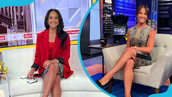 Meet Emily Compagno's husband: All the intriguing facts about Peter ...