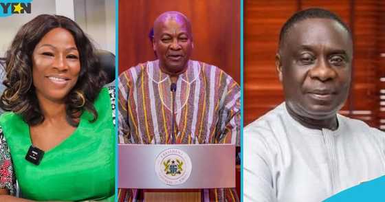 President Mahama Appoints Final Batch of Deputy Ministers: Gyakye ...
