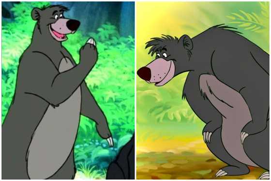 20 best fat cartoon characters of all time you will enjoy watching ...