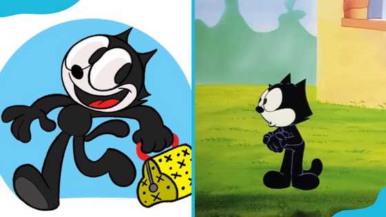 30 most famous animal cartoon characters' names and pictures - YEN.COM.GH