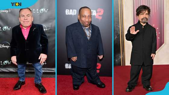 Top 50 short actors: List of the shortest celebrities in Hollywood ...