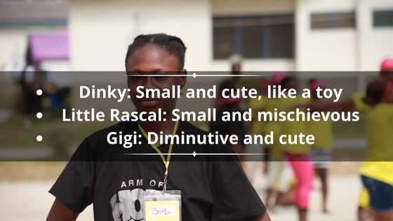 150+ best nicknames for short people that are cute and funny - YEN.COM.GH