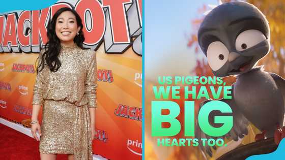 Migration cast: Who’s in the cast of the new drama Migration? - YEN.COM.GH