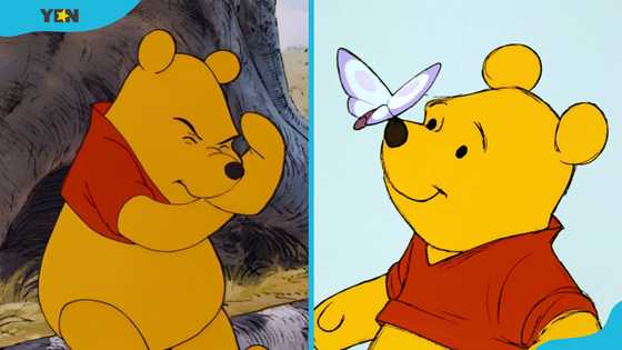 30 famous yellow cartoon characters of all time ranked - YEN.COM.GH
