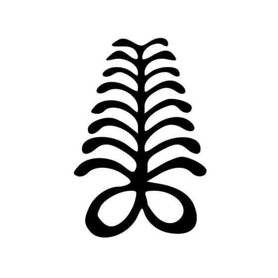 Ghanaian traditional symbols and their meanings - YEN.COM.GH