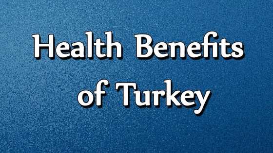 Health benefits of turkey berry - YEN.COM.GH