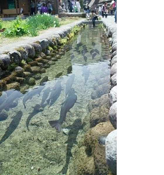 5 Photos of Japanese gutters that prove Japan is far ahead of Ghana ...