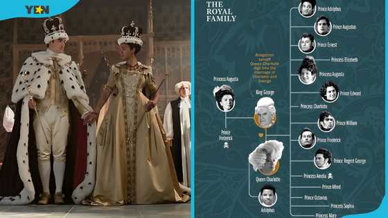 Explore the Bridgerton family tree: All the Bridgerton characters and ...