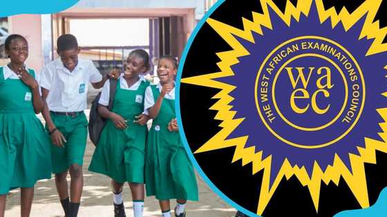 BECE school placement: Easy and complete step-by-step guide - YEN.COM.GH