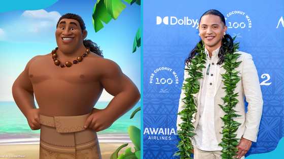 All Moana characters ranked: Full list of Disney favourites and who ...