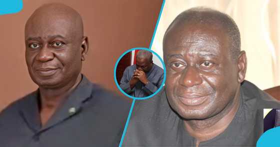 Media Personality Shares Samuel Sarpong’s Last Words About Mahama ...