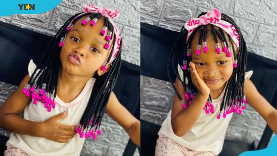 50+ beautiful African braids for kids: nice hairstyles to try - YEN.COM.GH