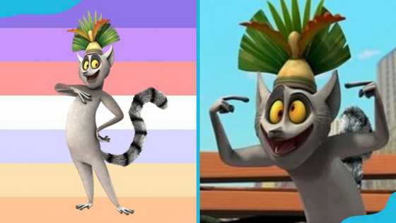 30 most famous animal cartoon characters' names and pictures - YEN.COM.GH