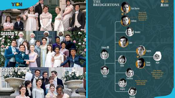 Explore the Bridgerton family tree: All the Bridgerton characters and ...