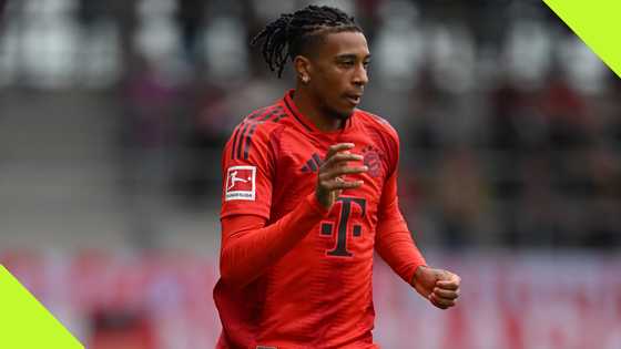 Bayern vs Grasshoppers: Olise Opens Goal Scoring Account With ...