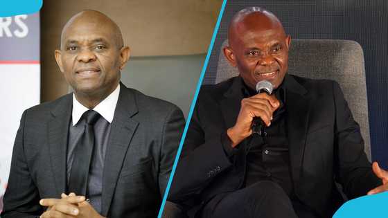 What is Tony Elumelu's net worth? The Nigerian multi-millionaire's ...