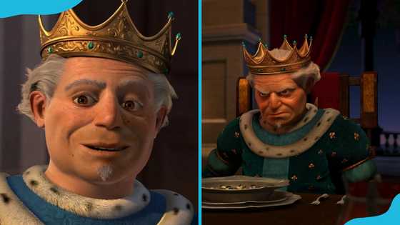 The top 20 Shrek characters list: Role and personality explained (with ...