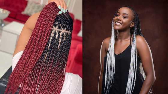 50+ loose braids hairstyles to inspire your next hairdo - YEN.COM.GH