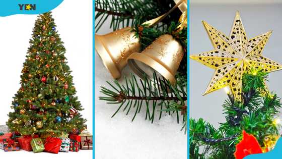 The top 10 symbols of Christmas and their meanings - YEN.COM.GH