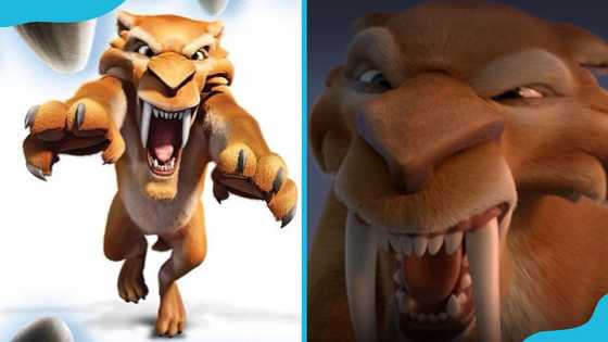 30 most famous animal cartoon characters' names and pictures - YEN.COM.GH