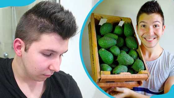 Where is Nikocado Avocado now? All about the rise and fall of the ...