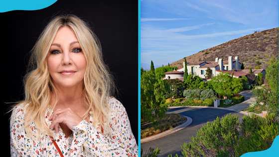 Heather Locklear's net worth uncovered, and how she rose to be a TV ...
