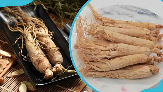 35+ common spices in Ghana: local names and uses you should know - YEN ...