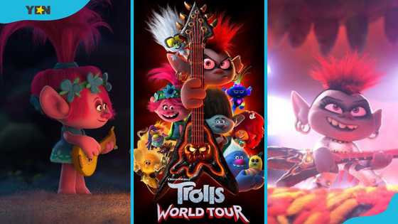 All the Trolls characters: Meet the colourful cast and their roles ...