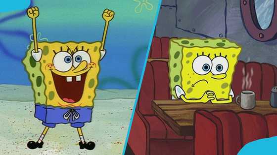 How old is SpongeBob SquarePants? The cartoon character's real age ...