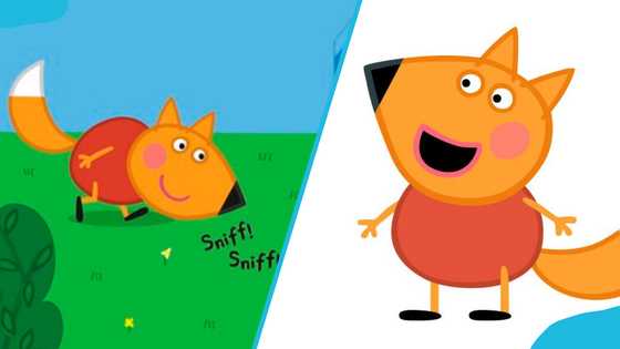 Meet the Peppa Pig characters and discover their unique personalities ...