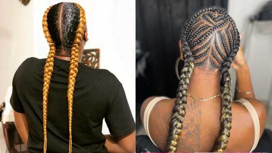 60+ stunning two braids hairstyles to spruce up your look - YEN.COM.GH