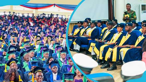 Ho Technical University courses, fees and admission requirements - YEN ...