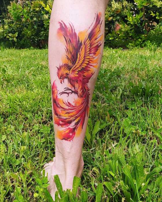 30 cool phoenix tattoo ideas with powerful meanings to try - YEN.COM.GH