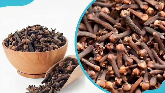 35+ common spices in Ghana: local names and uses you should know - YEN ...