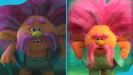All the Trolls characters: Meet the colourful cast and their roles ...