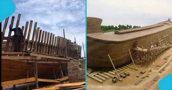 Ebo Noah Releases New Update on Ten Arks Ahead of December 25 Vision ...