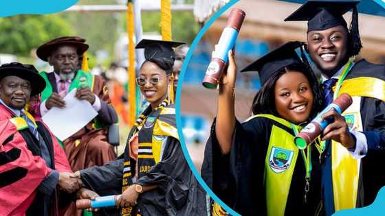 UENR courses, requirements, application process and fees - YEN.COM.GH