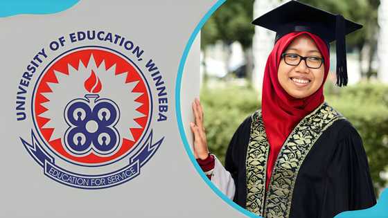 UEW admission list: How to check your admission status - YEN.COM.GH