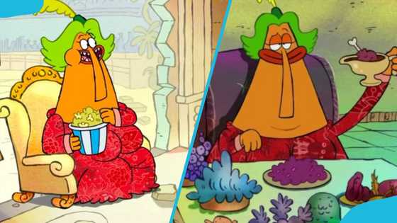 20 most popular Chowder characters ranked: Roles and personality explained - YEN.COM.GH