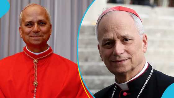 New Pope Leo XIV Elected: 5 Things to Know About American Cardinal ...