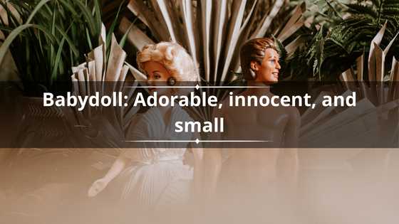 110+ best nicknames for short people that are cute and funny - YEN.COM.GH