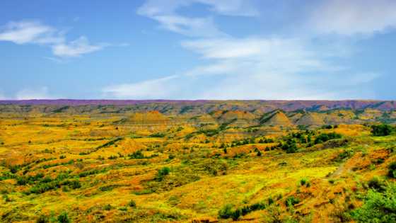 What is the driest state in the US? 10 states that receive the least ...