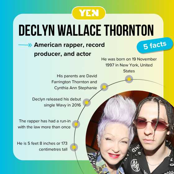 The story of Cyndi Lauper's son Declyn and his journey into music - YEN ...