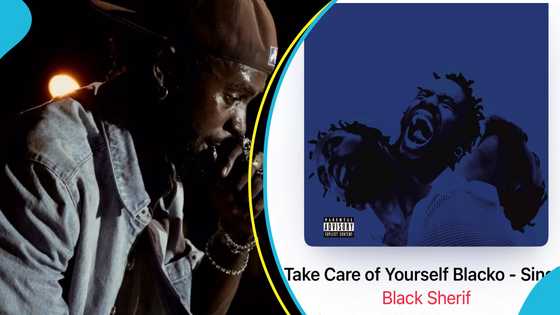 Top Asake songs you should add to your playlist: Afrobeat bangers - YEN ...