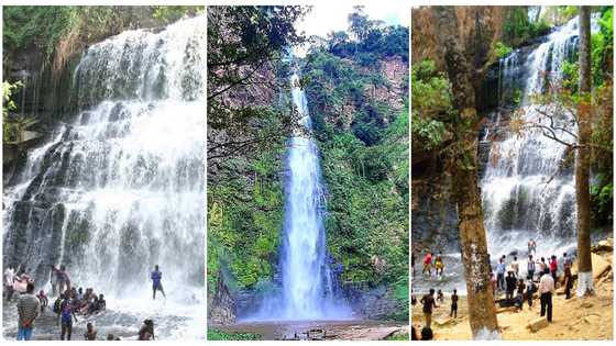 Mount Afadja, Mount Edouka and Other Tallest Mountains in Ghana, Their ...
