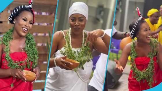 35+ common spices in Ghana: local names and uses you should know - YEN ...