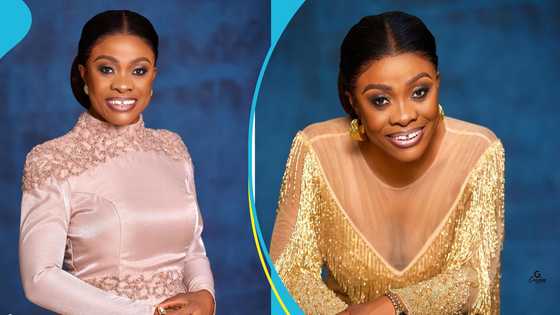 Serwaa Amihere biography: husband, children, family, hometown - YEN.COM.GH