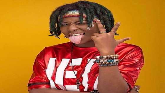 Wendy Shay biography: real name, early life, family, hometown, net ...