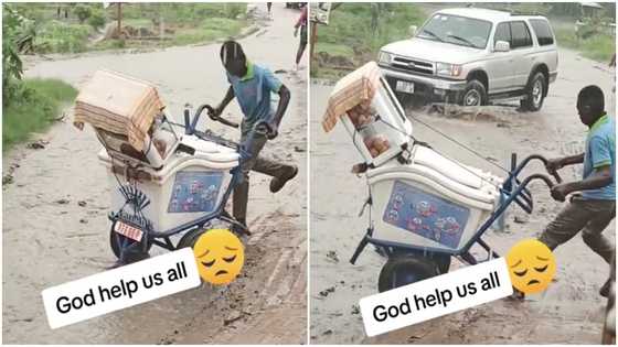 Lady Selling Fan Milk Products In Push Cart Says She Does It Because ...